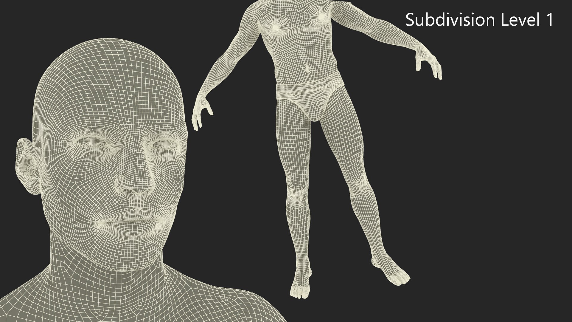 Male Physique Character Rigged For Maya 3D - TurboSquid 2300646
