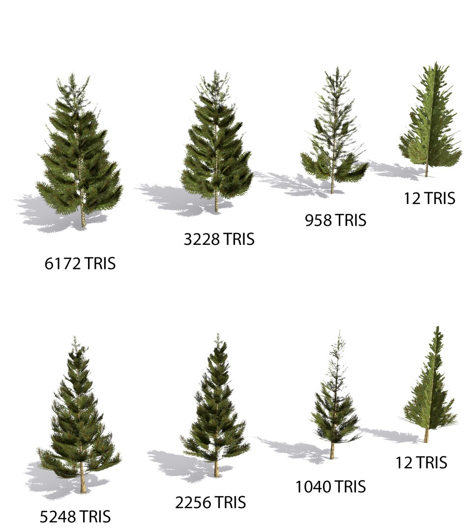 Coniferous Pine Trees Lod Model - TurboSquid 1665214