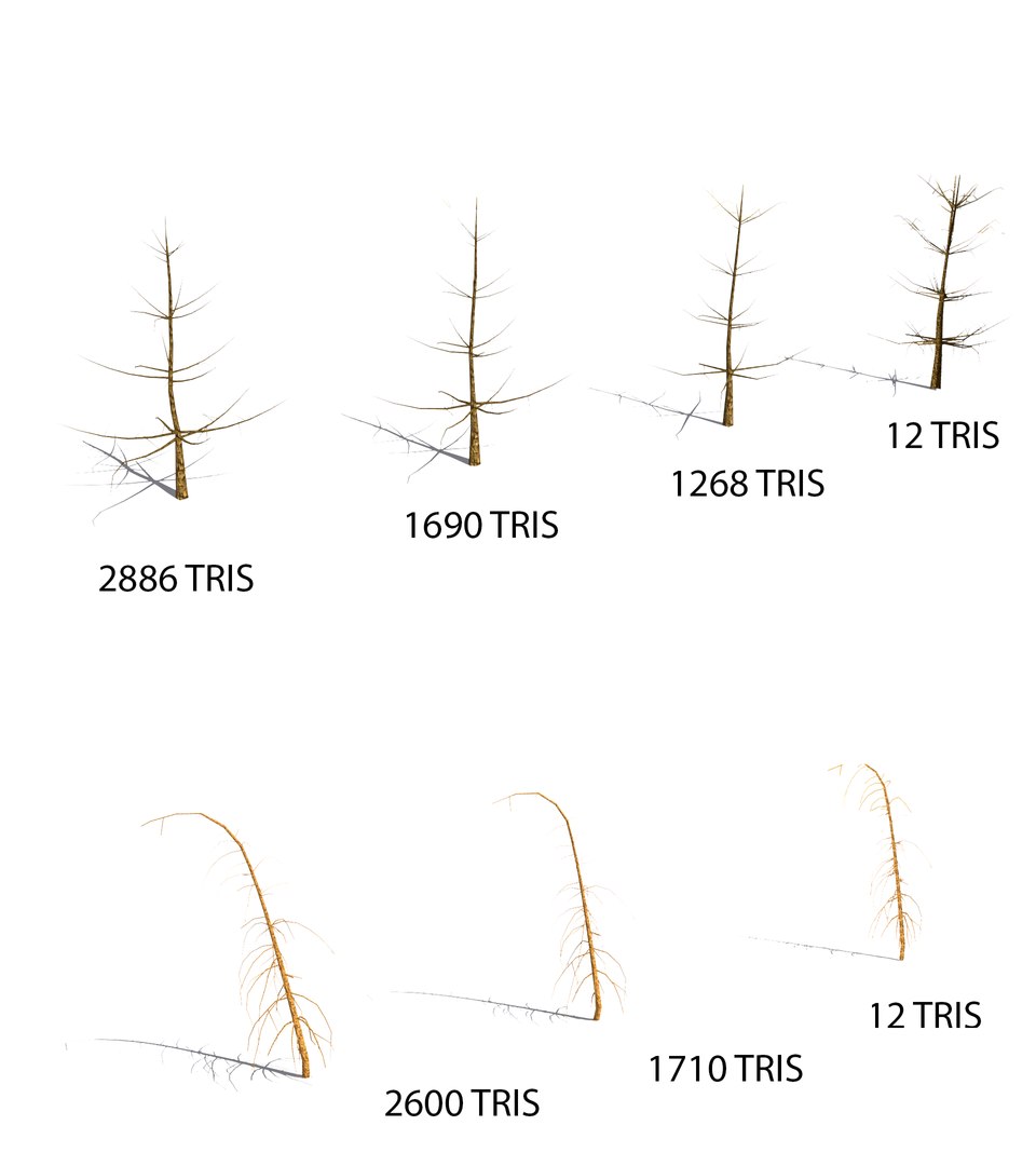Coniferous Pine Trees Lod Model - TurboSquid 1665214