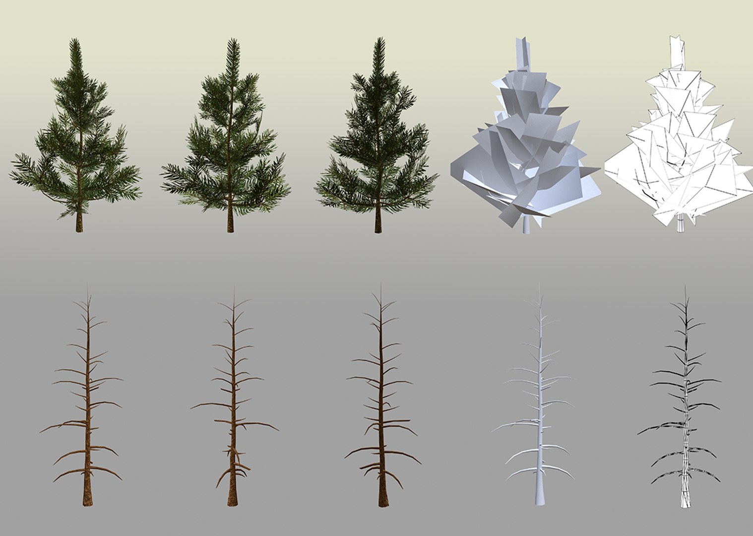 Coniferous Pine Trees Lod Model - TurboSquid 1665214