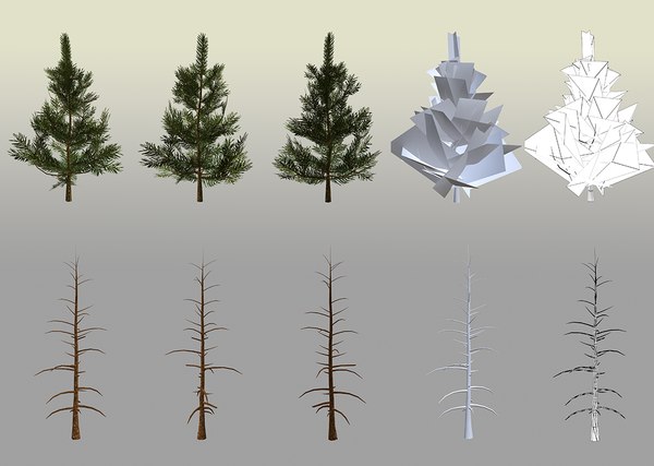 Coniferous pine trees lod model - TurboSquid 1665214