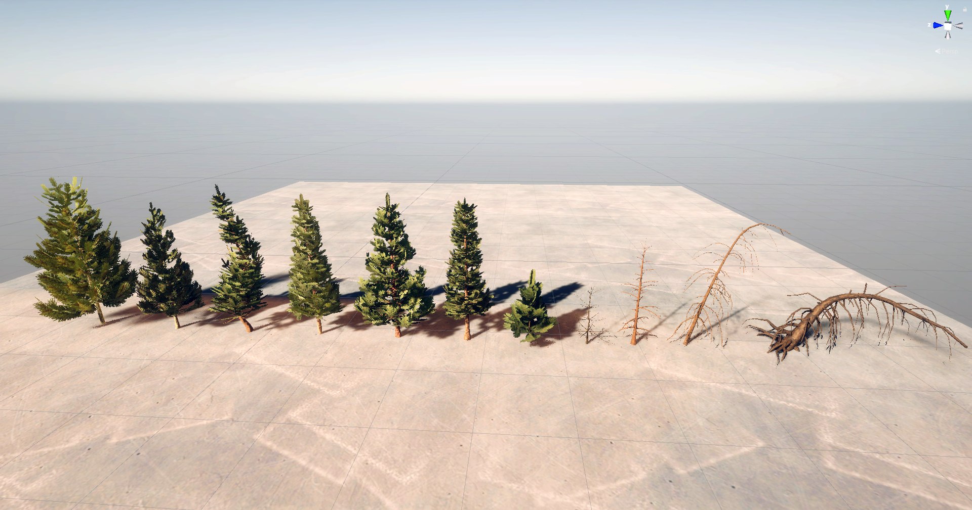 Coniferous pine trees lod model - TurboSquid 1665214