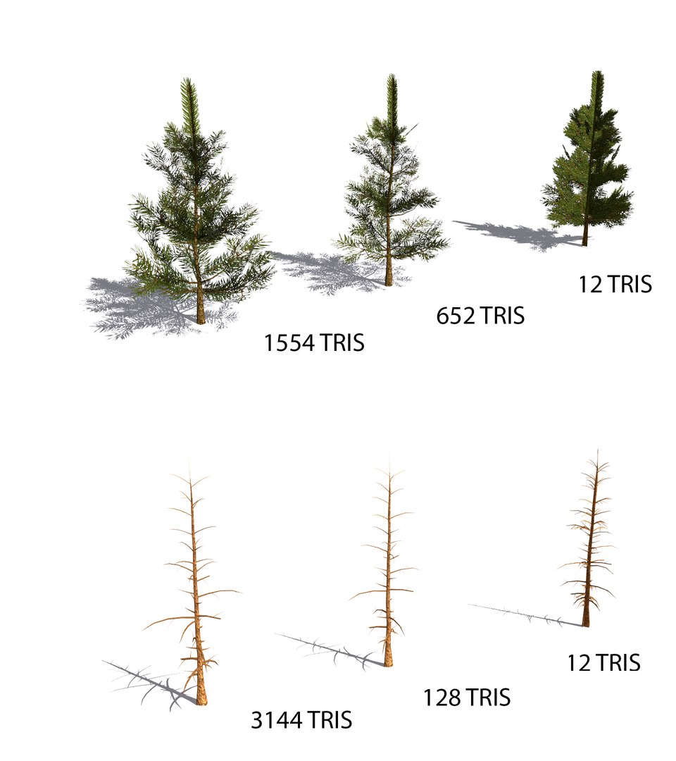 Coniferous Pine Trees Lod Model - TurboSquid 1665214