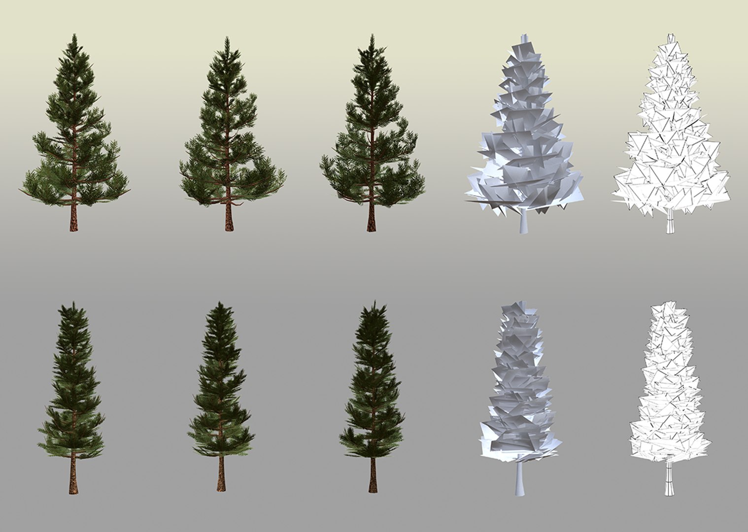 Coniferous Pine Trees Lod Model - TurboSquid 1665214