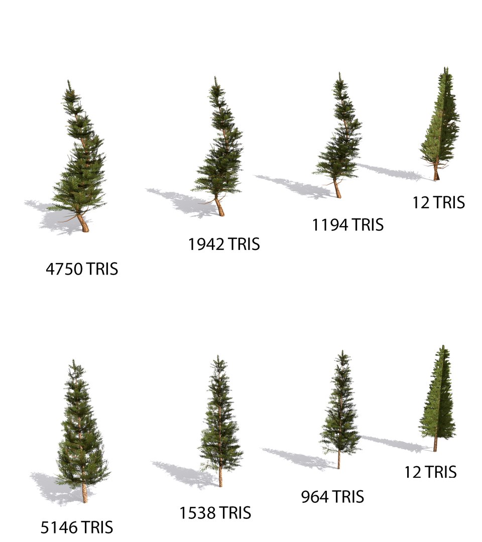 Coniferous Pine Trees Lod Model - TurboSquid 1665214