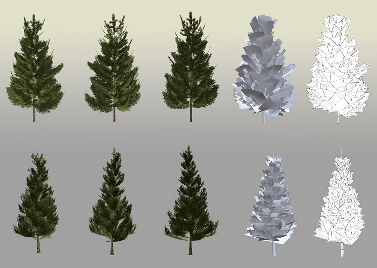Coniferous Pine Trees Lod Model - TurboSquid 1665214