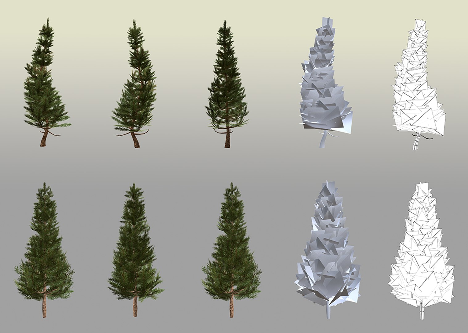 Coniferous Pine Trees Lod Model - TurboSquid 1665214