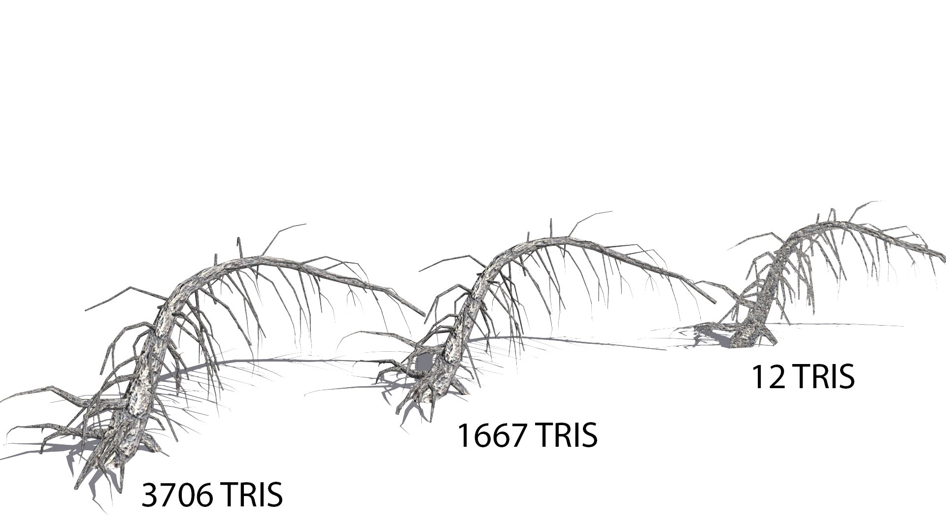 Coniferous pine trees lod model - TurboSquid 1665214
