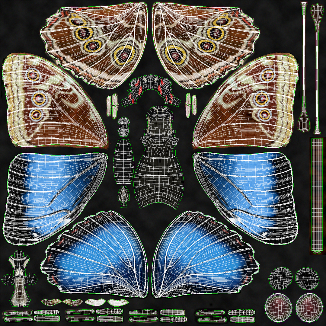 3d model blue morpho butterfly wings