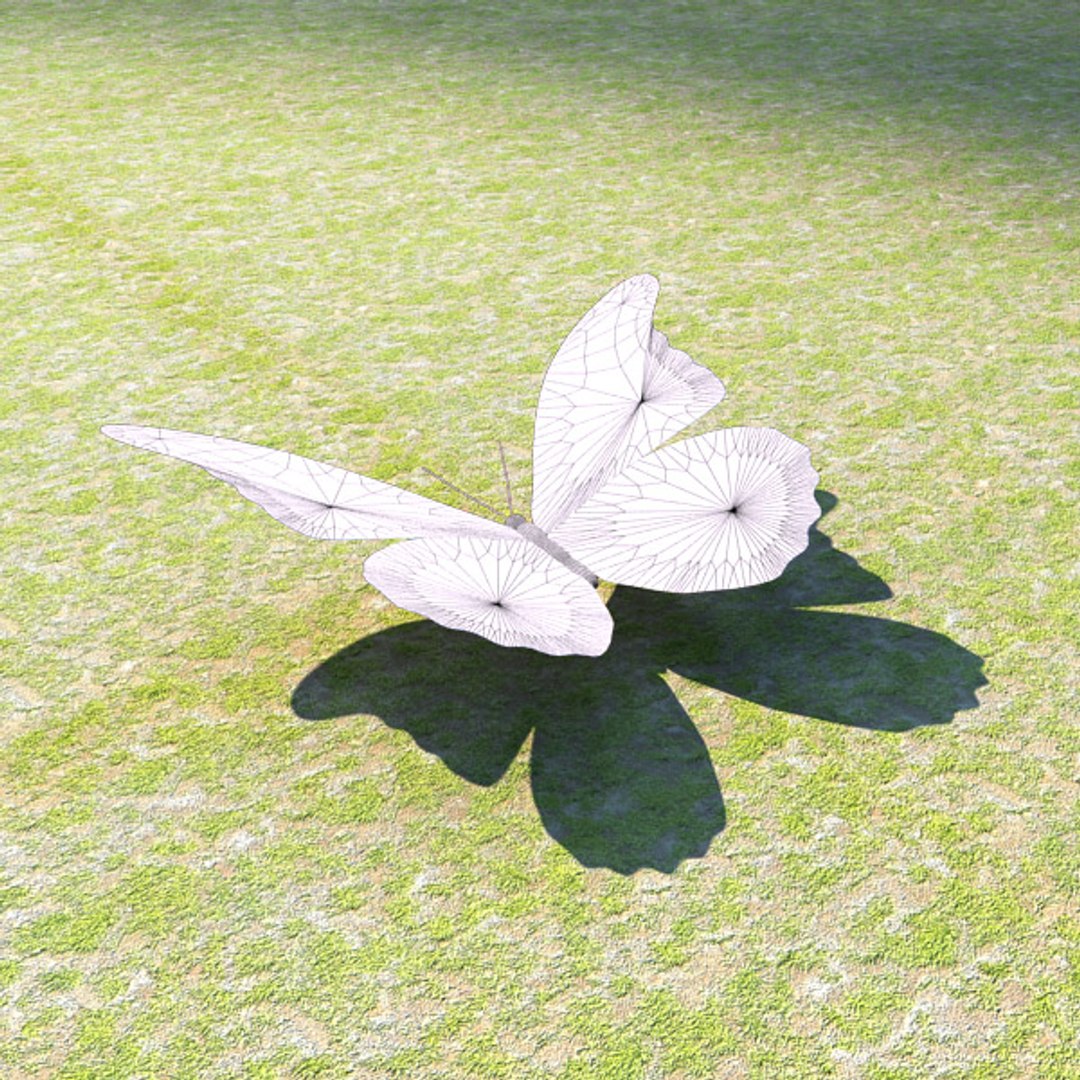 4 Butterflies Set 3d Model