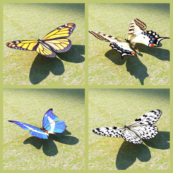 3ds max flying butterflies