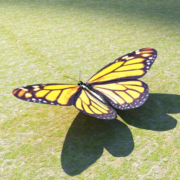4 butterflies set 3d model