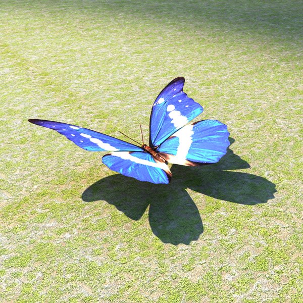 4 butterflies set 3d model