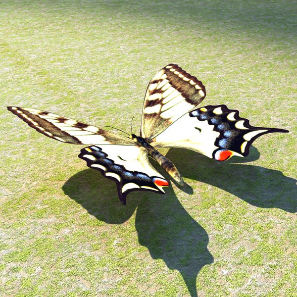 4 butterflies set 3d model