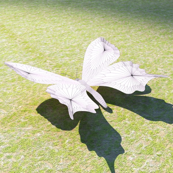 4 butterflies set 3d model