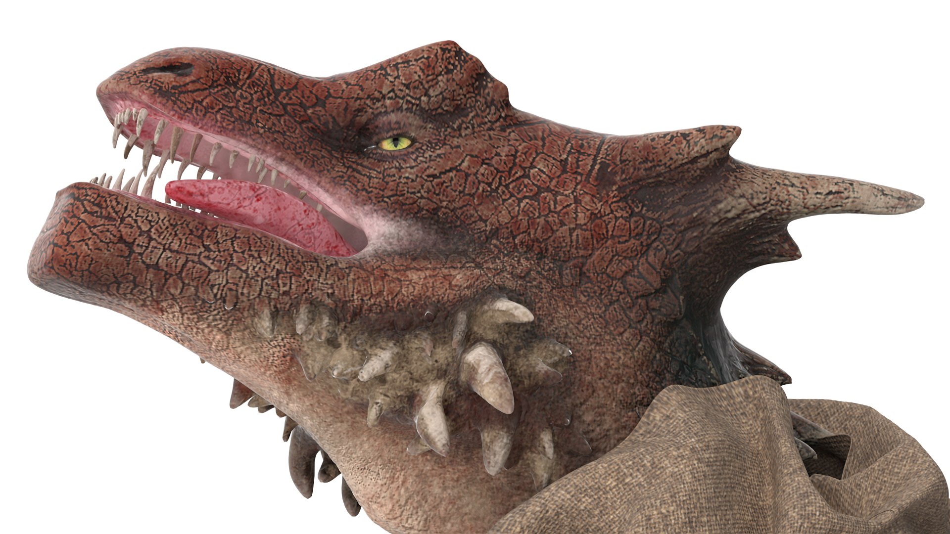 3D Dragon Head In Bag Model - TurboSquid 2335668