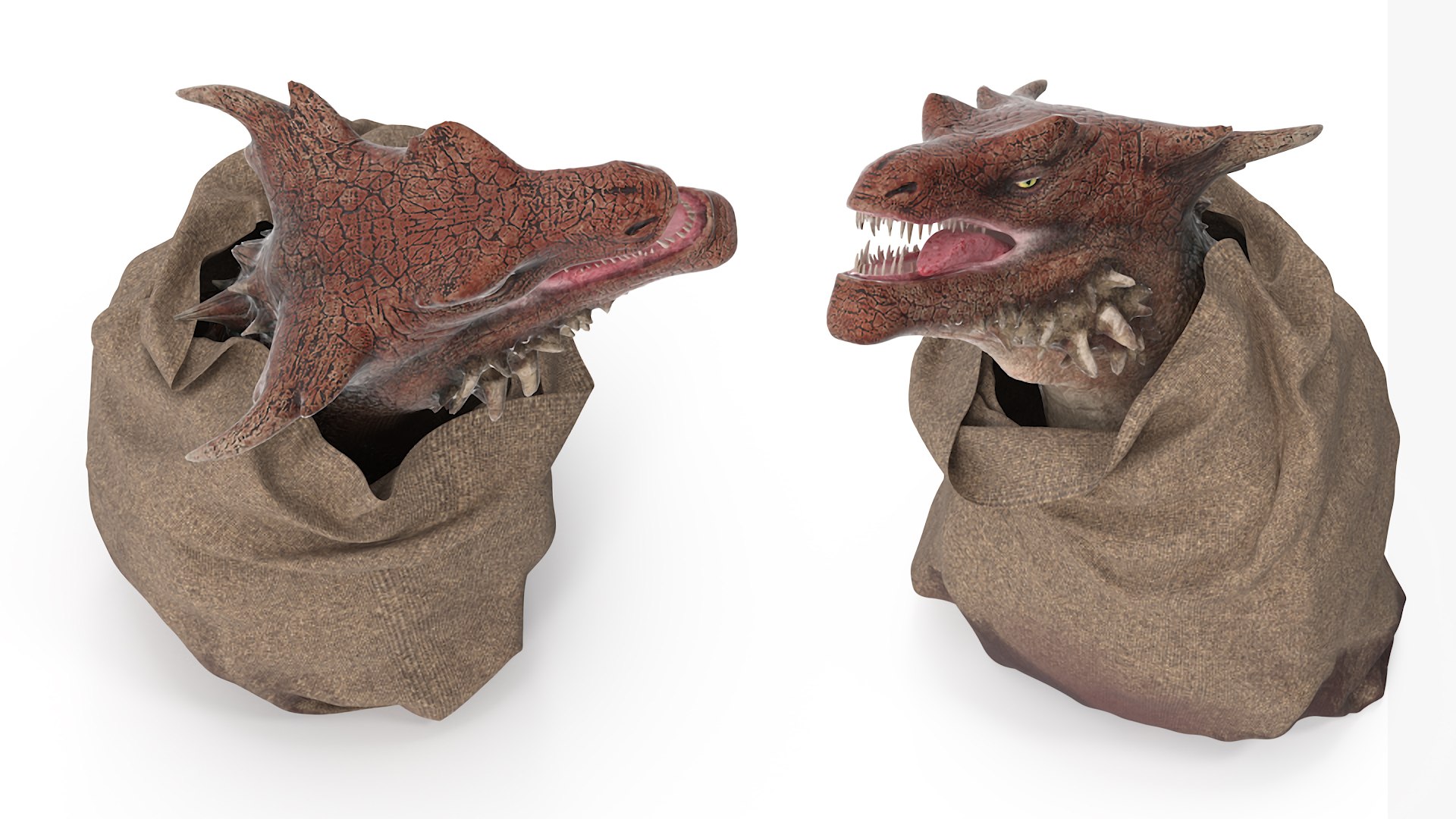 3D Dragon Head In Bag Model - TurboSquid 2335668