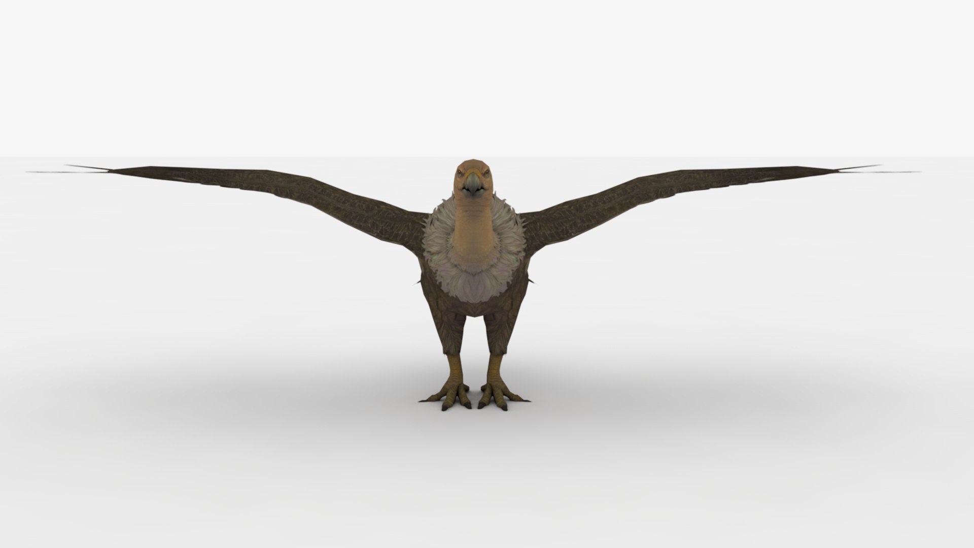 Buzzard 3D Model - TurboSquid 2345230