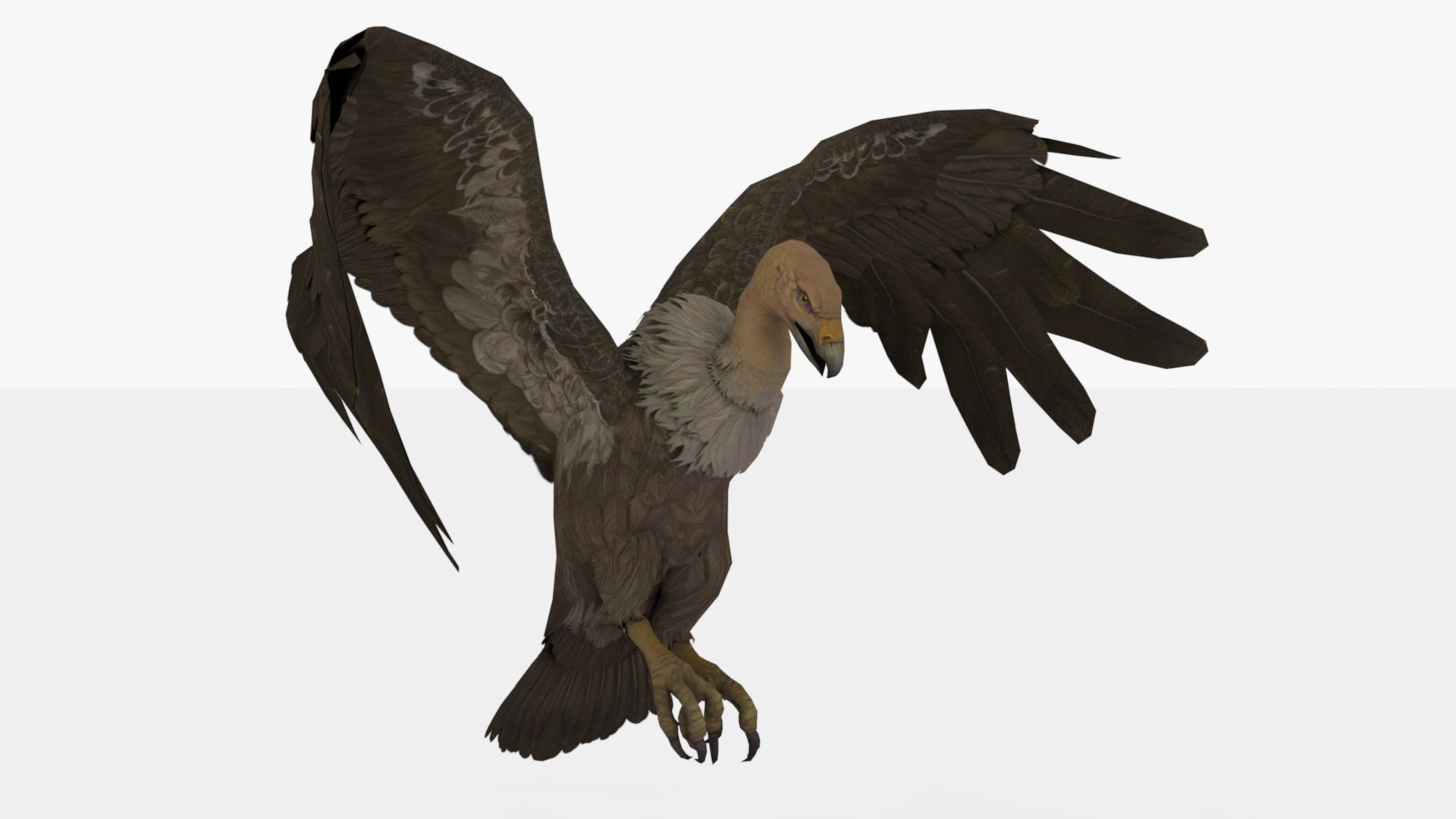Buzzard 3D Model - TurboSquid 2345230