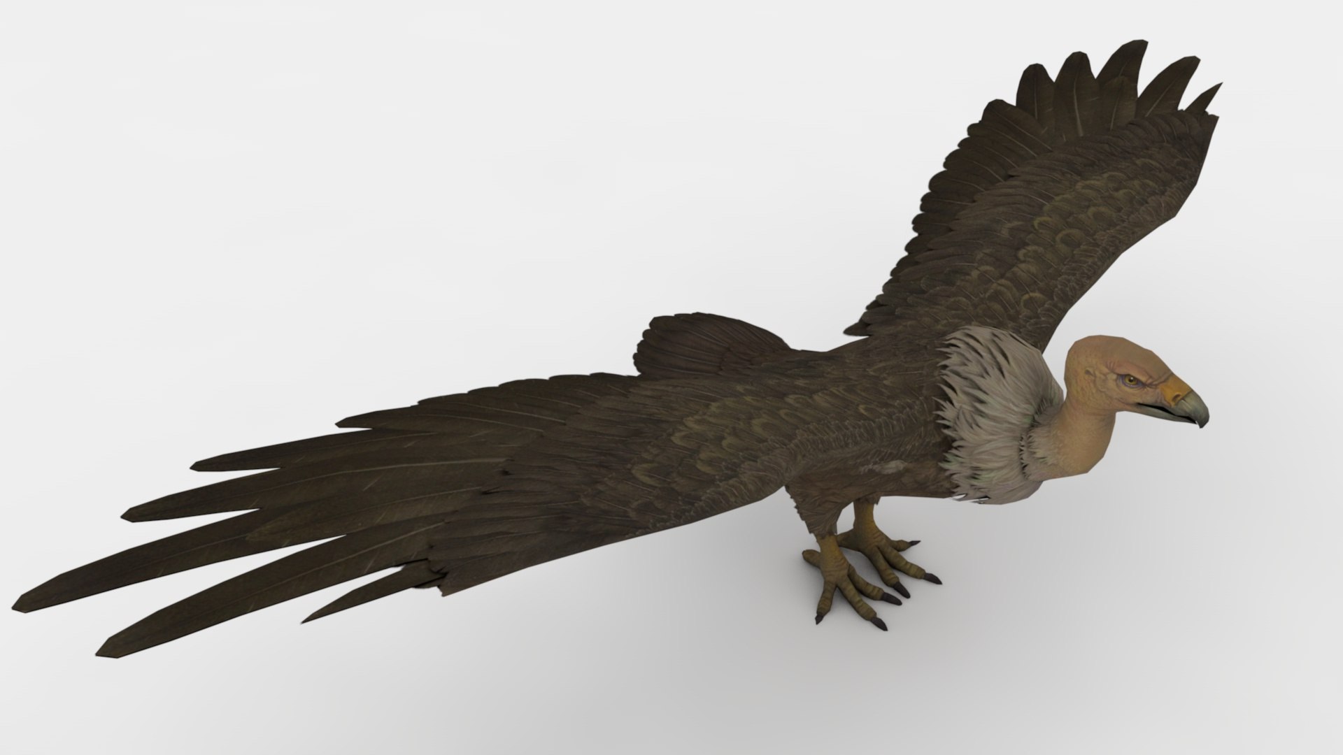 Buzzard 3D Model - TurboSquid 2345230