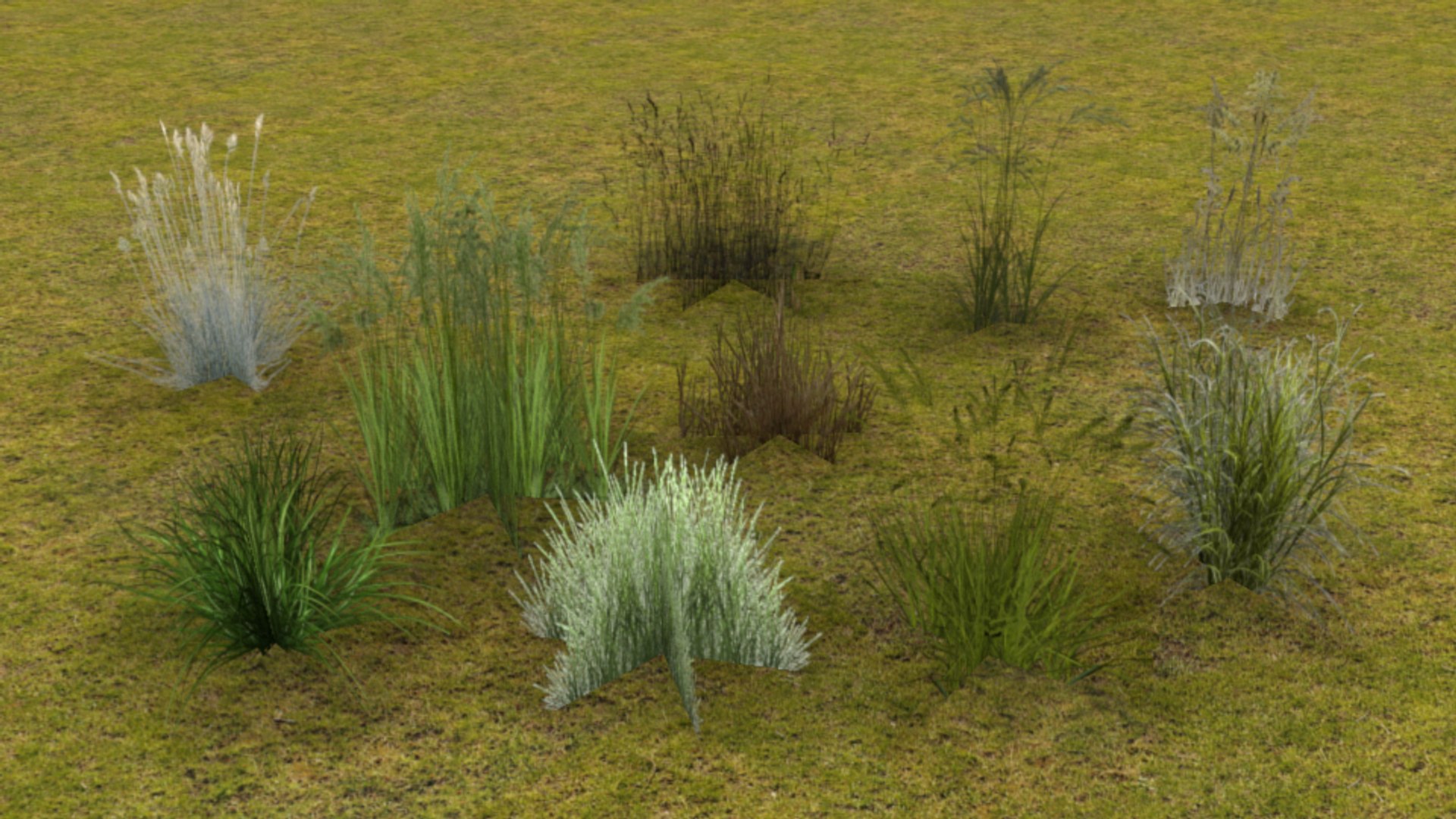 Grass Plant Model - TurboSquid 1363202