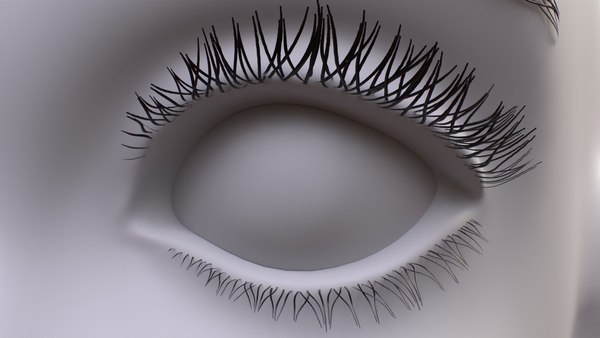 Girl Eyebrows Eyelashes 3D model - TurboSquid 1912805