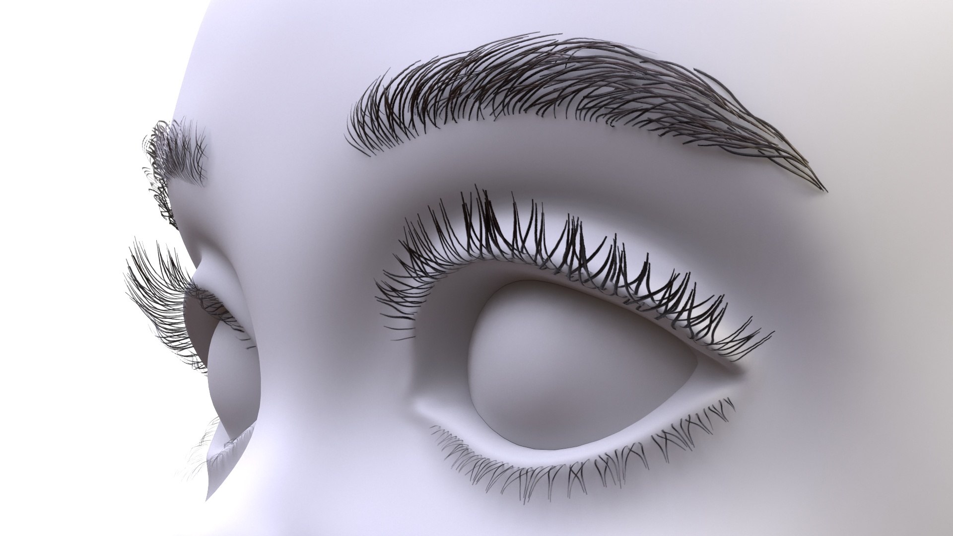 Girl Eyebrows Eyelashes 3D Model - TurboSquid 1912805