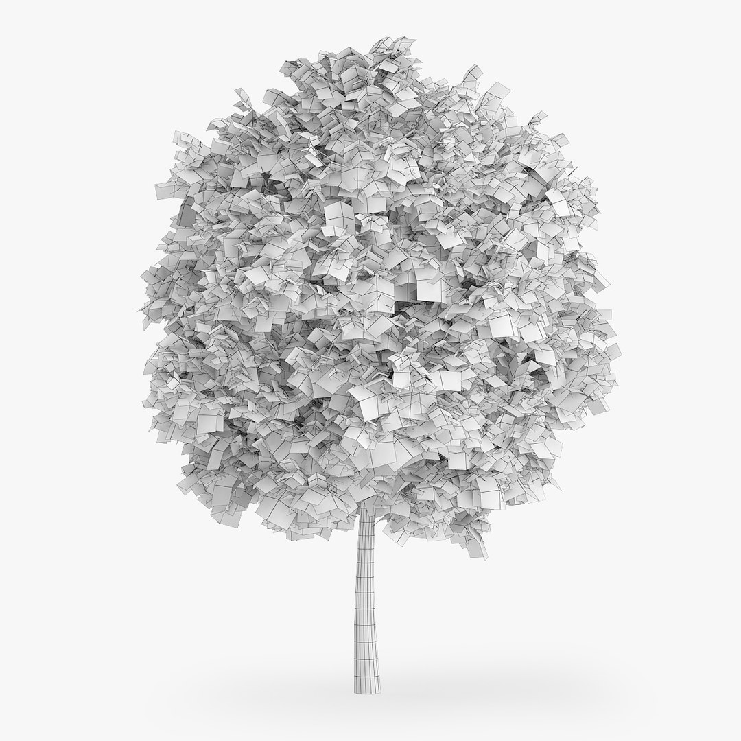 Greek Maple 4 5m Max