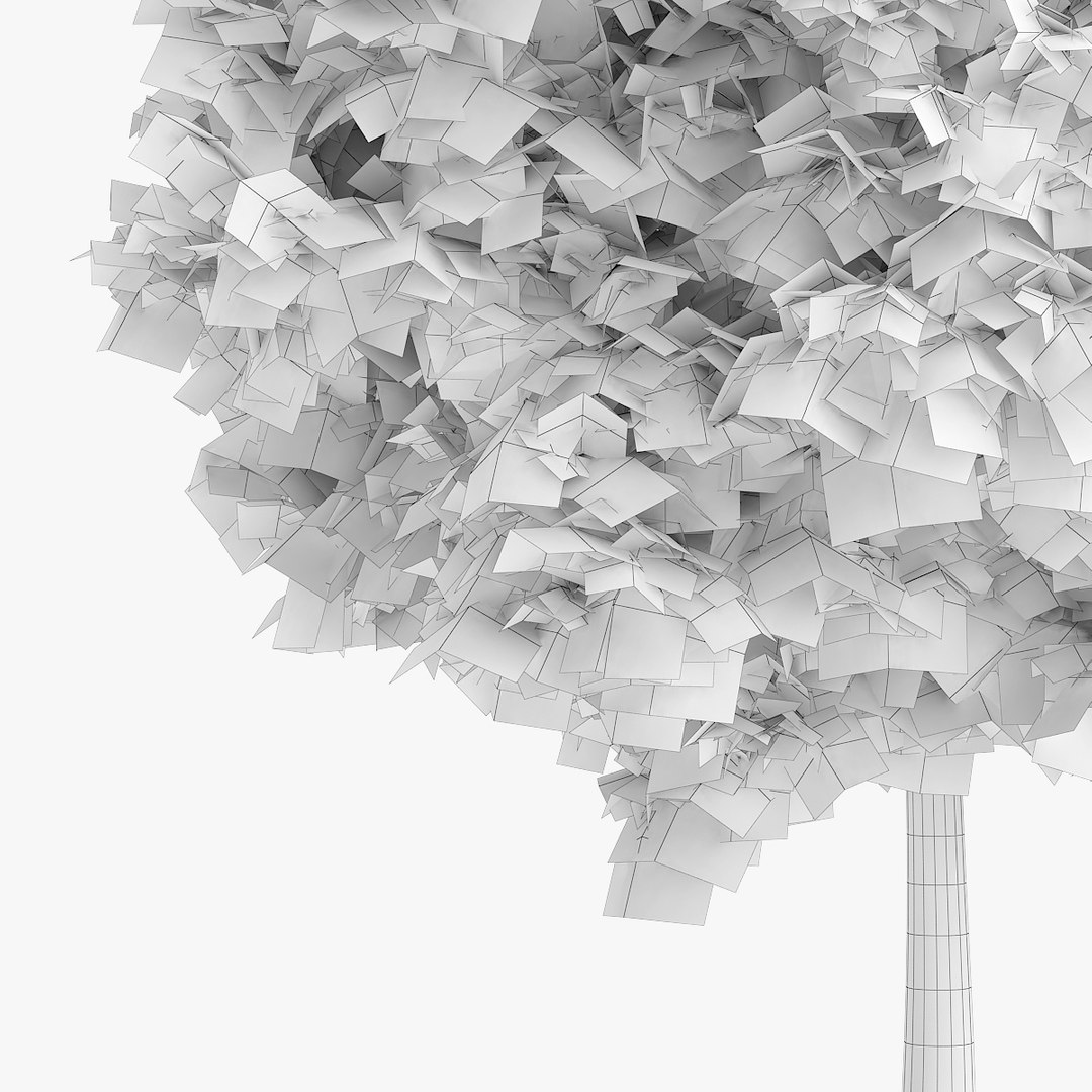 Greek Maple 4 5m Max