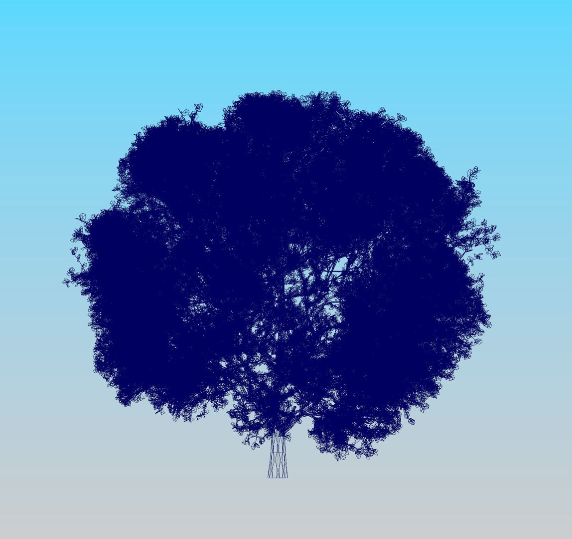Tree Wind Animation 3D Model - TurboSquid 1637846
