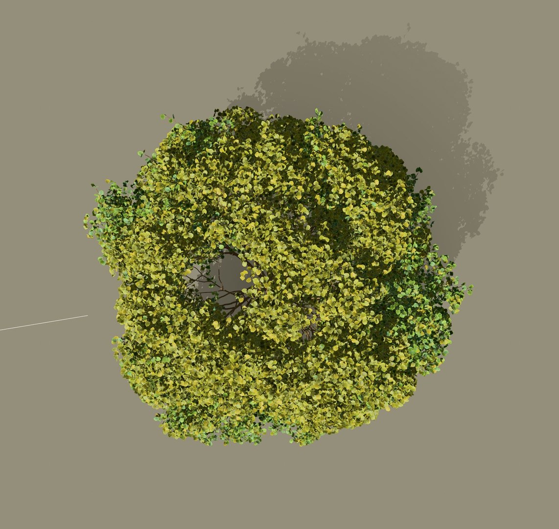 Tree Wind Animation 3D Model - TurboSquid 1637846
