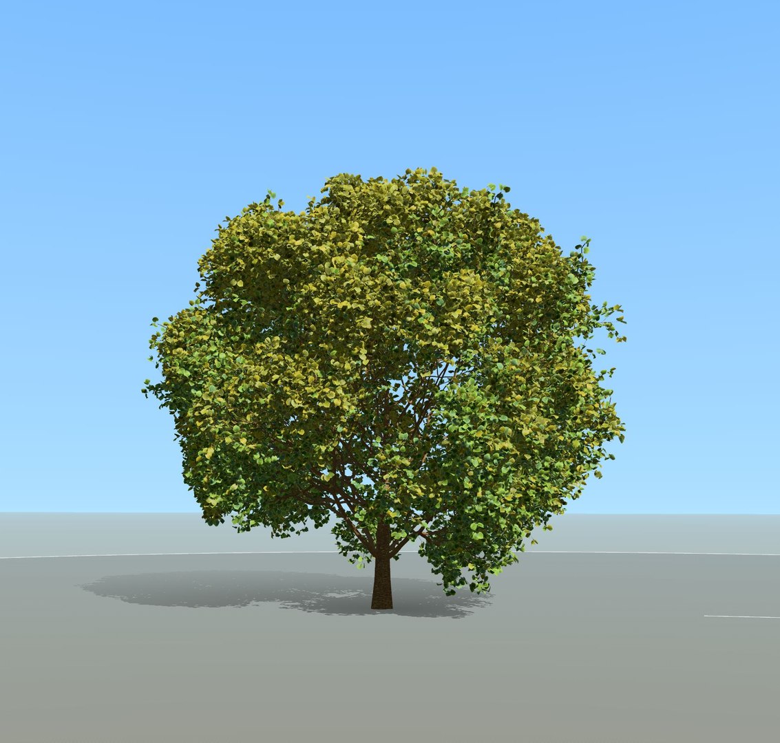 Tree Wind Animation 3D Model - TurboSquid 1637846