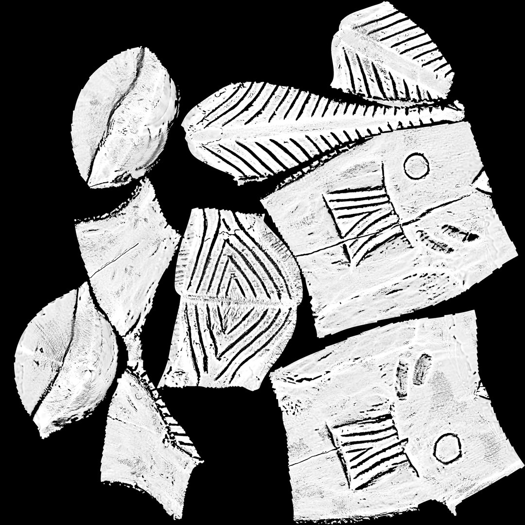 maya scan fish
