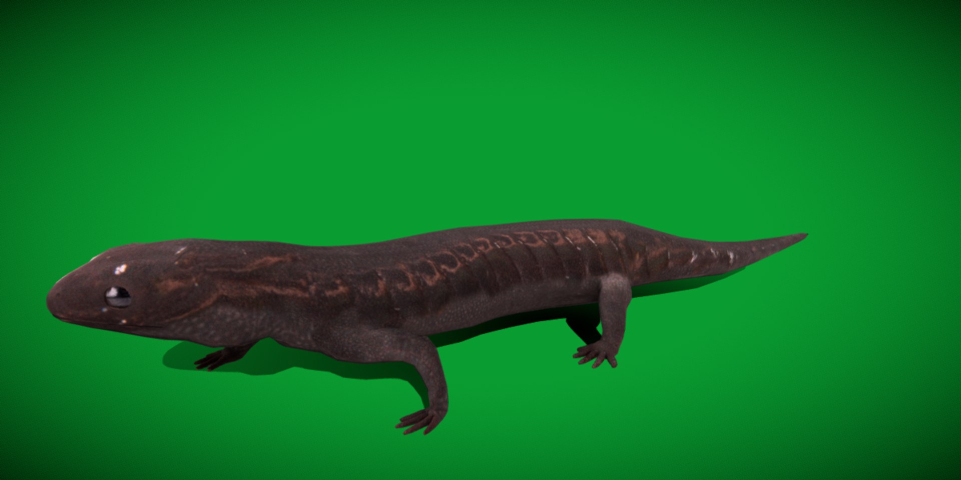 3D Model Salamander - TurboSquid 2375143