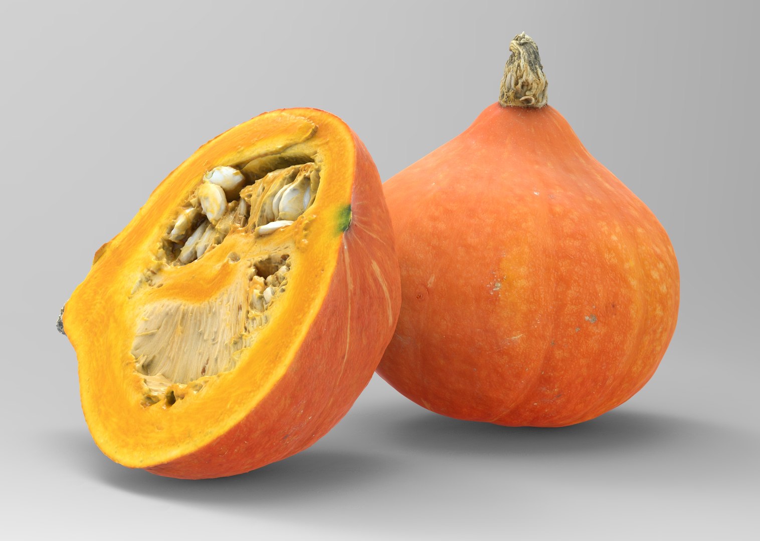 3D Cucurbita - TurboSquid 1968396