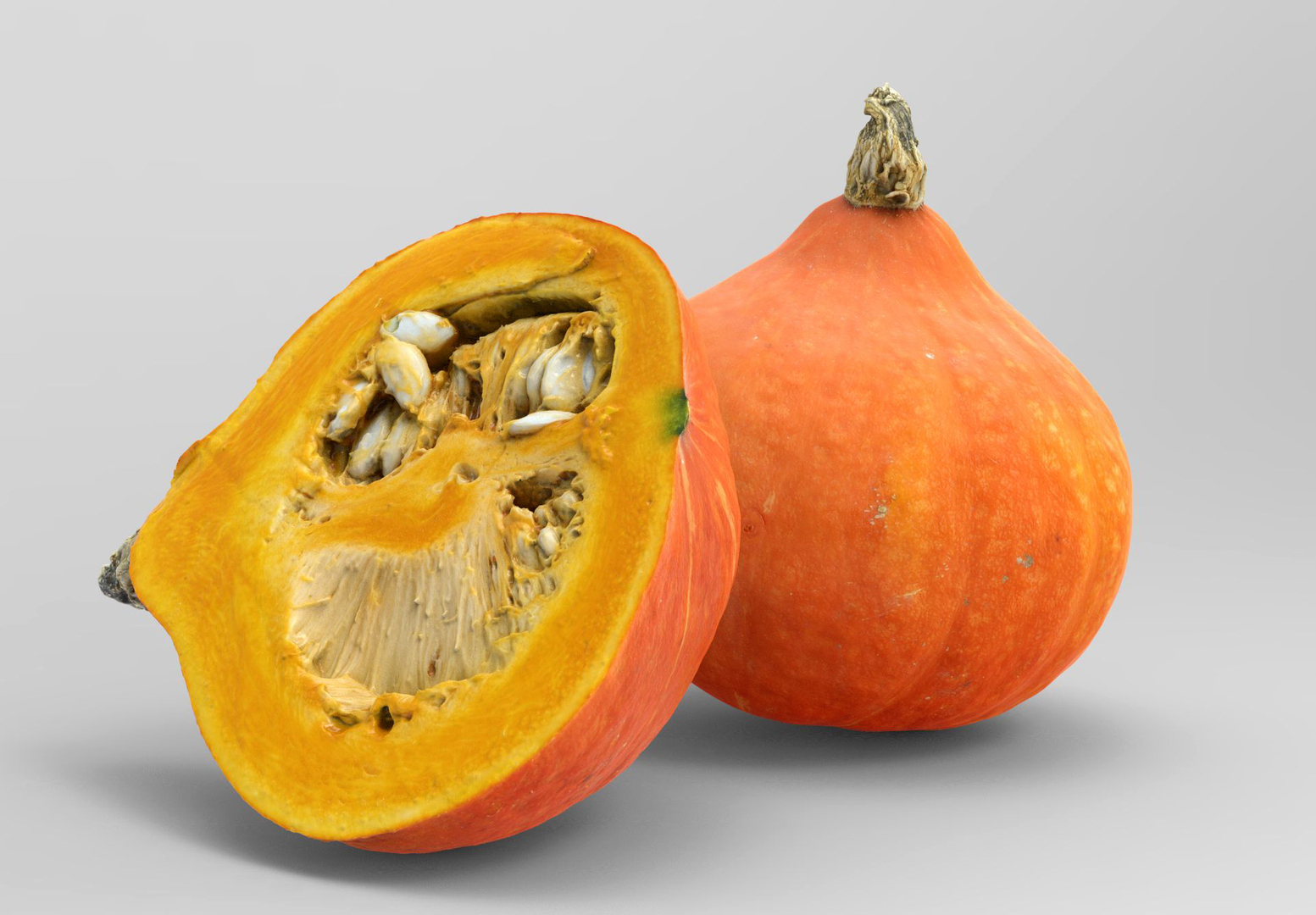 3D Cucurbita - TurboSquid 1968396