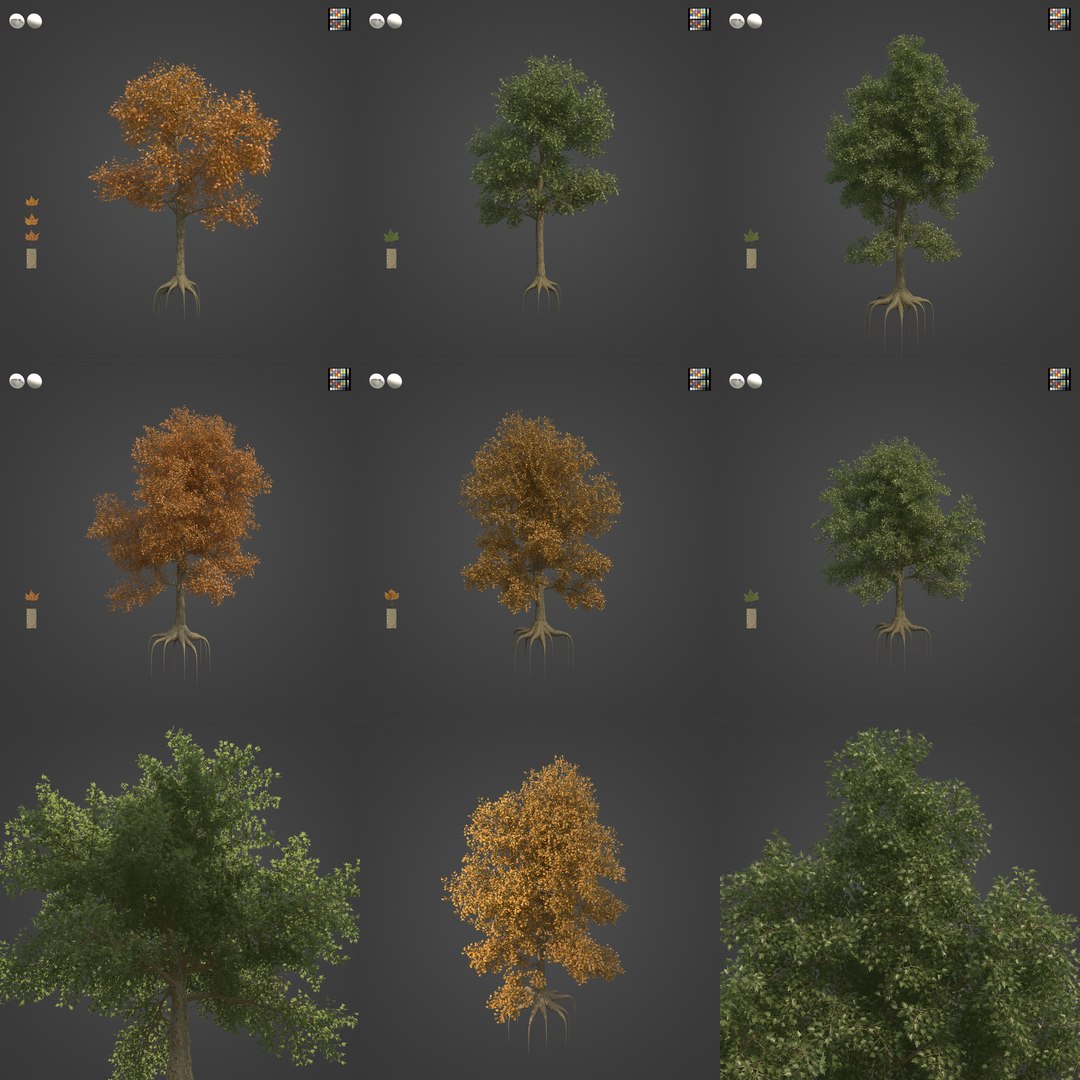 3D 2021 PBR London Plane Tree Collection - Platanus X Acerifolia ...
