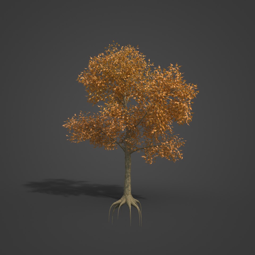 3D 2021 PBR London Plane Tree Collection - Platanus X Acerifolia ...
