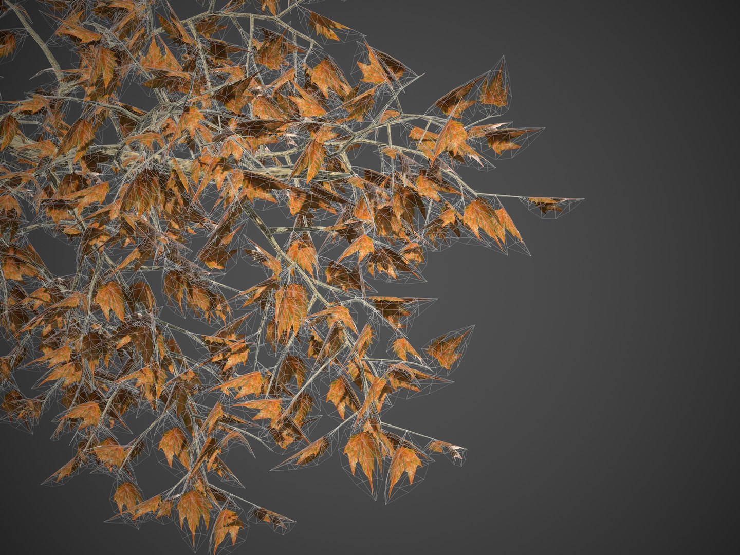 3D 2021 PBR London Plane Tree Collection - Platanus X Acerifolia ...