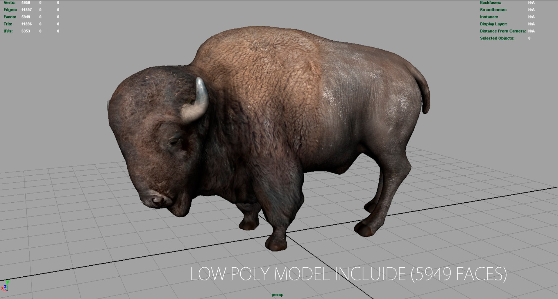 American Bison 3D Model - TurboSquid 1407362