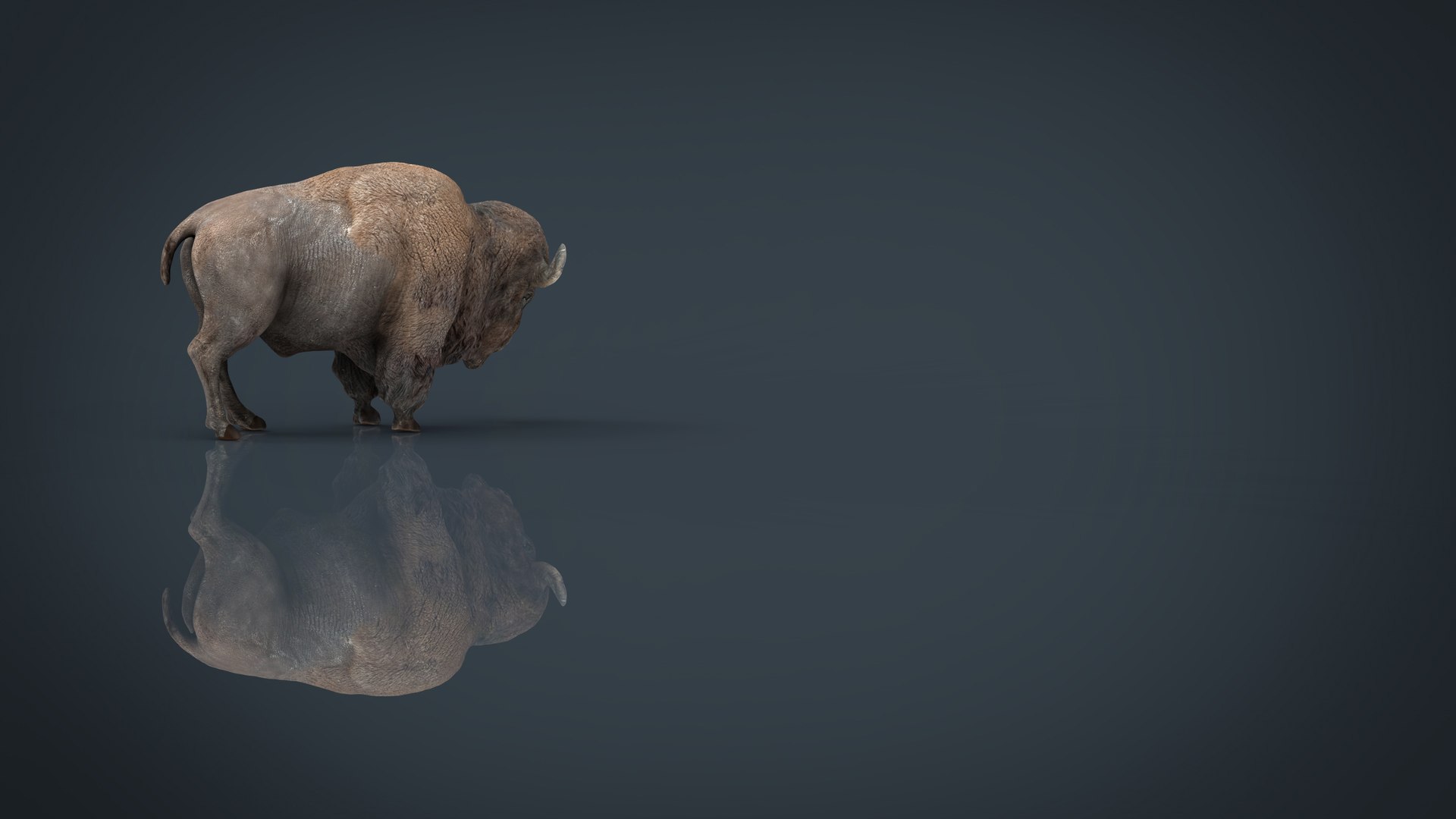 American Bison 3D Model - TurboSquid 1407362