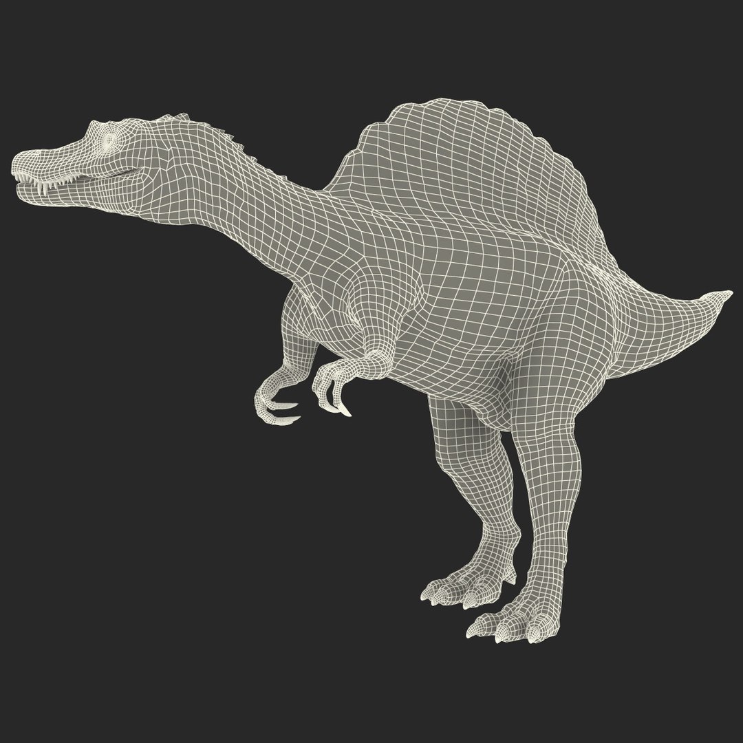 3d Spinosaurus Prehistoric Modelled Model