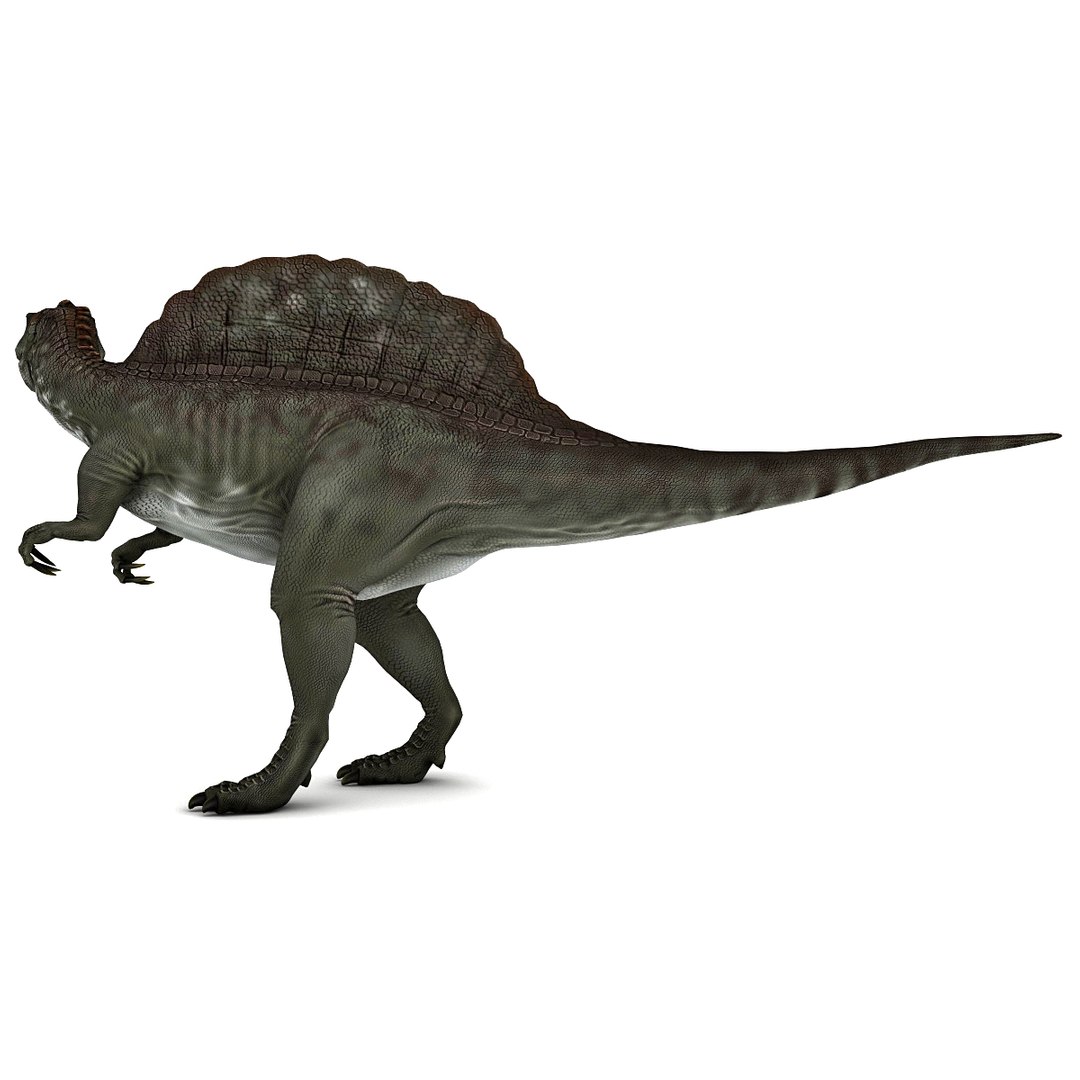 3d Spinosaurus Prehistoric Modelled Model