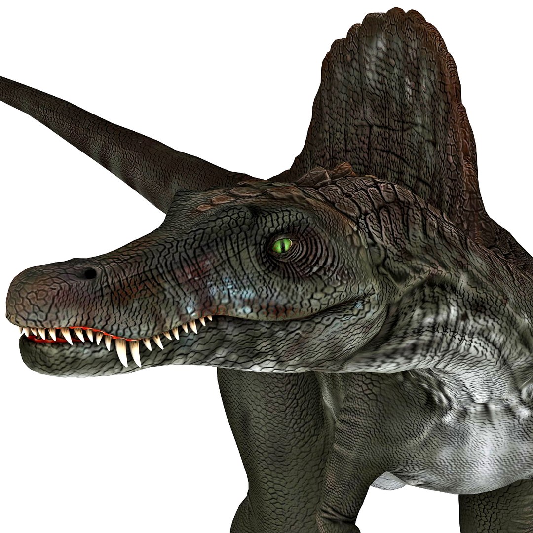 3d Spinosaurus Prehistoric Modelled Model