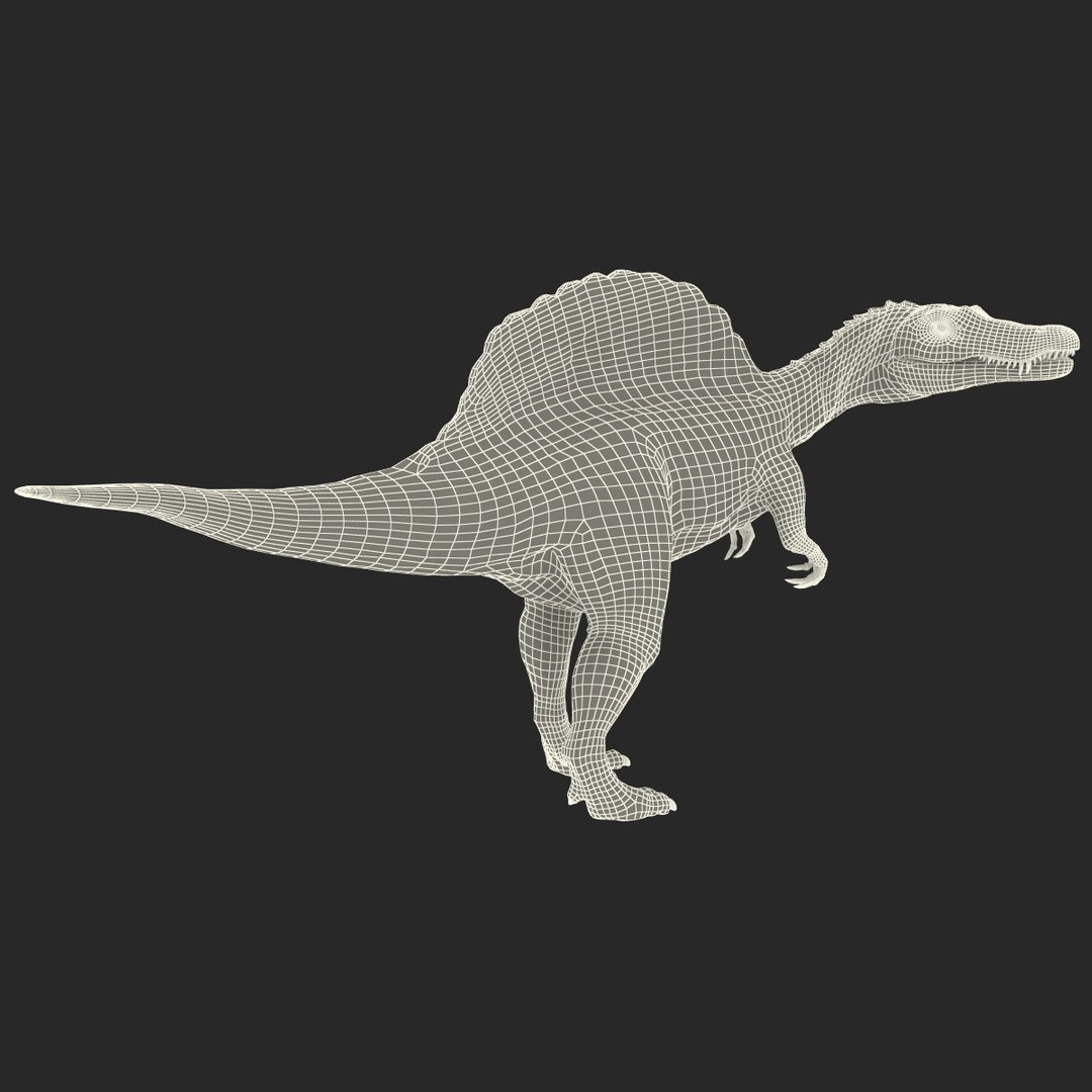 3d Spinosaurus Prehistoric Modelled Model