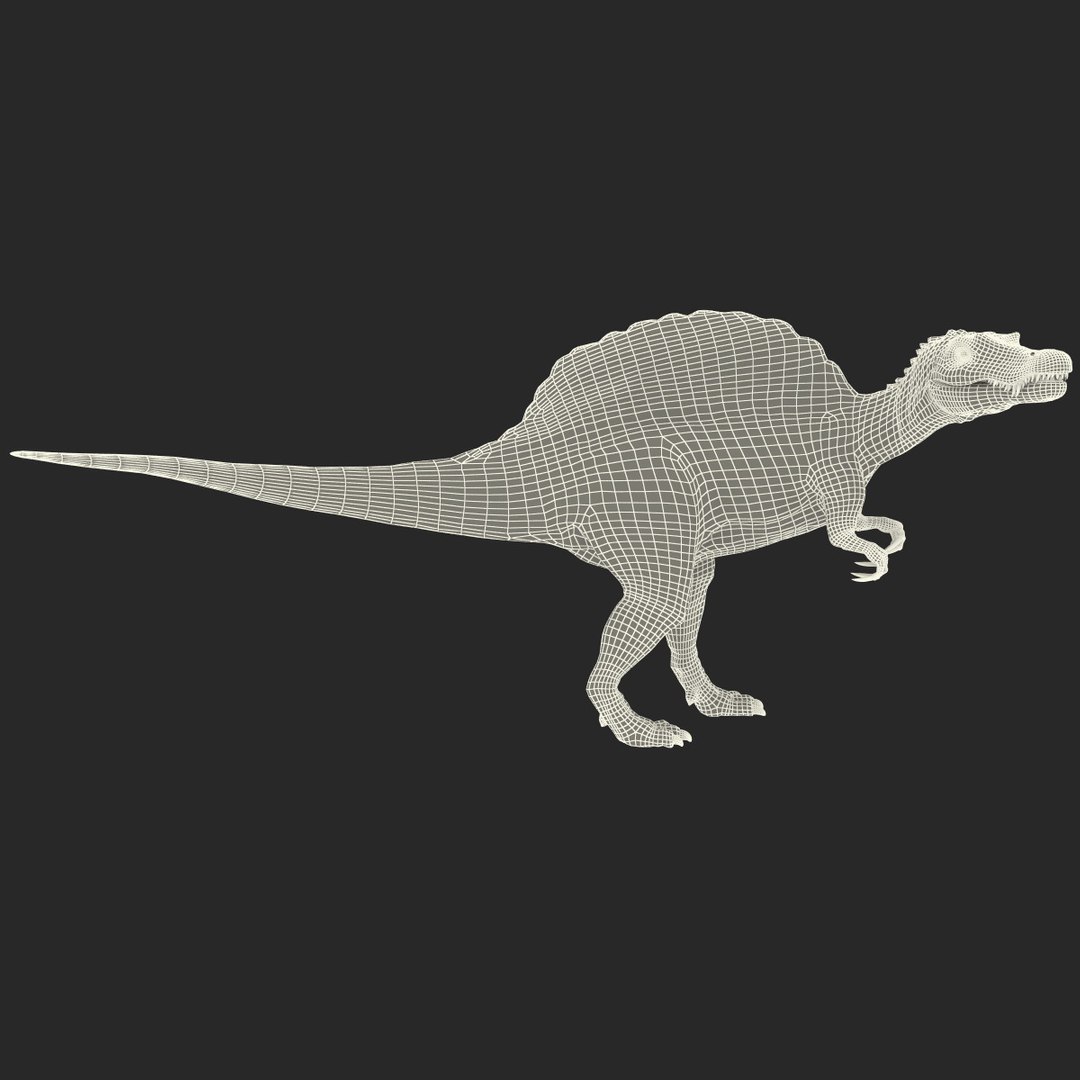 3d Spinosaurus Prehistoric Modelled Model