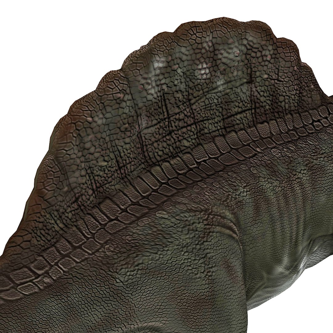 3d Spinosaurus Prehistoric Modelled Model