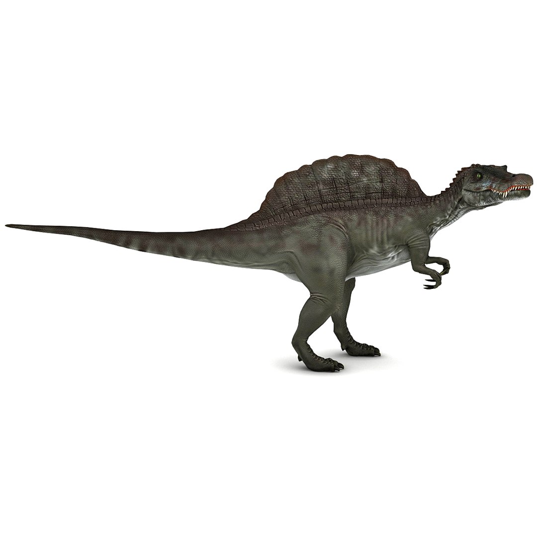 3d Spinosaurus Prehistoric Modelled Model