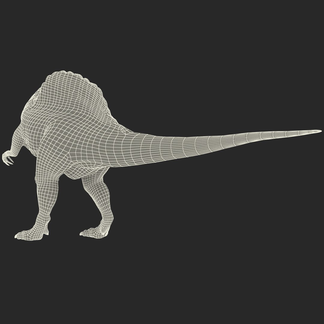 3d Spinosaurus Prehistoric Modelled Model