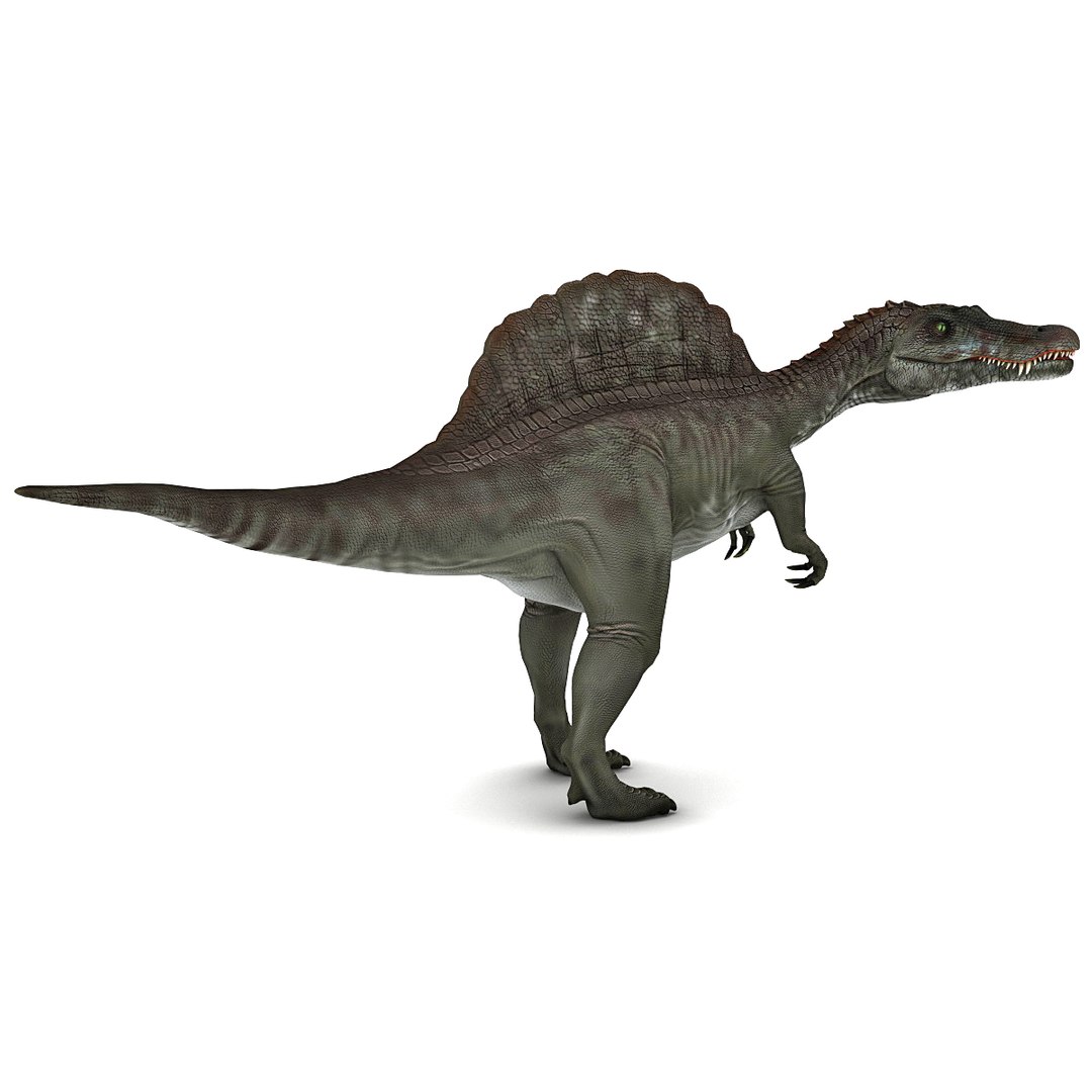 3d Spinosaurus Prehistoric Modelled Model